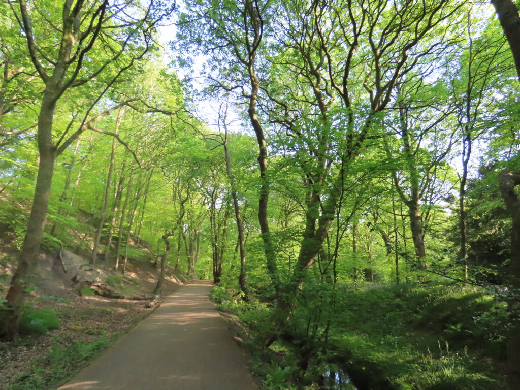 News - The Upper Don Trail Trust